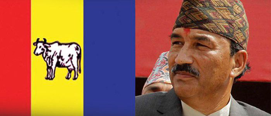 उपनिर्वाचनको तयारीमा लाग्न राप्रपाकाे निर्देशन « Dainiki